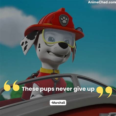 25 Iconic Paw Patrol Quotes That Well Never Forget Animechad