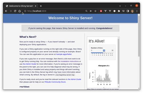 Cmhh Deploying Shiny Applications