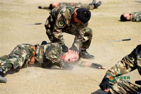 武装警察の特種格闘術に迫る 中国網 日本語