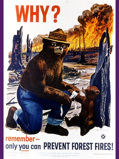 Only You Can Prevent Forest Fires Classic T Shirt