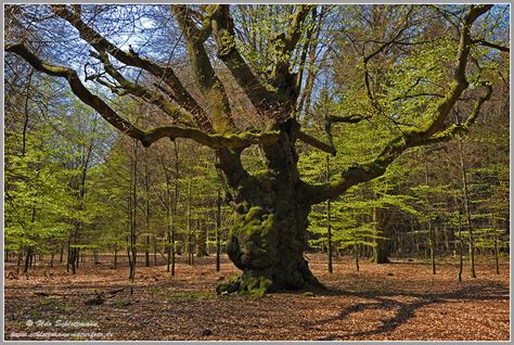Sehr Alt Und Sehr Jung Forum F R Naturfotografen