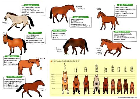馬の博物館～横浜市電保存館 本牧・根岸・磯子 旅行のクチコミサイト フォートラベル 与那国 木曽 旅行
