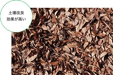 植物性堆肥事業 ヤードウエスト浜松