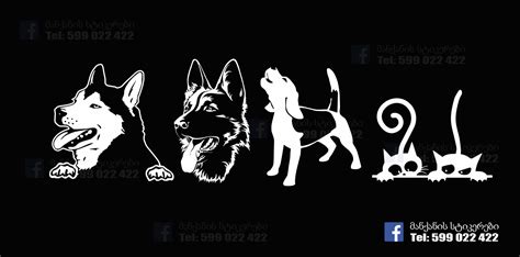 მანქანის სტიკერები Added A New Photo მანქანის სტიკერები