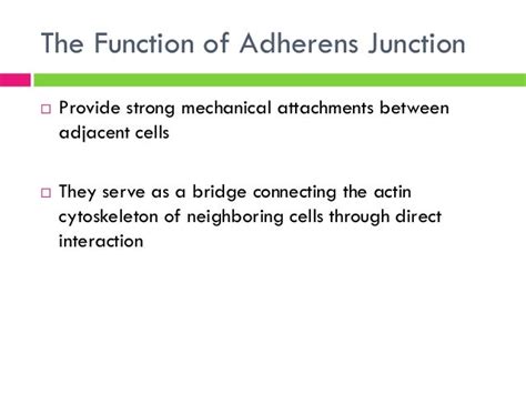 Intercellular Junctions