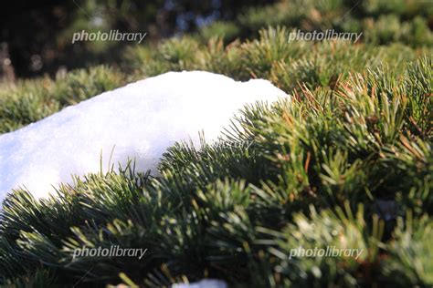 Photolibrary