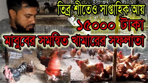 টাইগার পালনে ব্যাপক সাফল্য Mahbuber Combined Murgi Farming Tiger Deshi Golasila Afifa