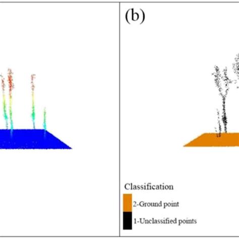 The Comparison Chart Before And After Point Cloud Filtering A Point Download Scientific