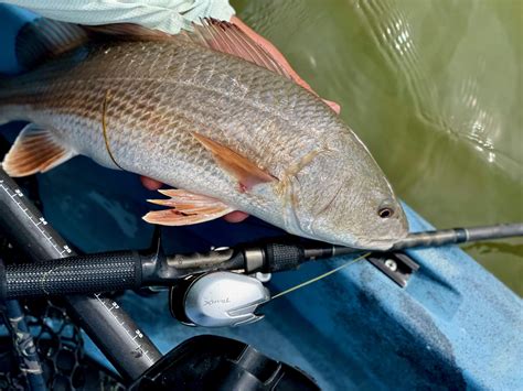 Shimano Tranx 150HG Review: A Versatile and Durable Baitcaster ...