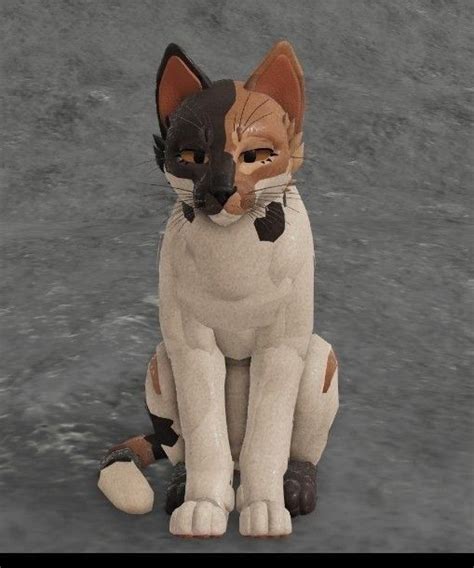 Wcueinspo Warrior Warriorcats Wcue Inspiration Warriorcatsultimateedition Cat Warrior