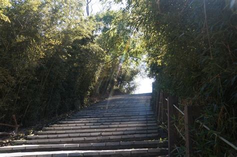 苗栗頭屋墨硯山北峰墨硯山南峰連走O繞健走 健行筆記