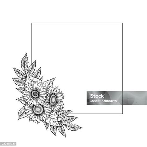 벡터 해바라기 광장 프레임 그림 라인 아트 꽃 구성 그래픽 흑백 그림 손으로 그린 꽃 개요 스케치 새겨진 그림 청첩장 로고 템플릿 가을에 대한 스톡 벡터 아트 및 기타