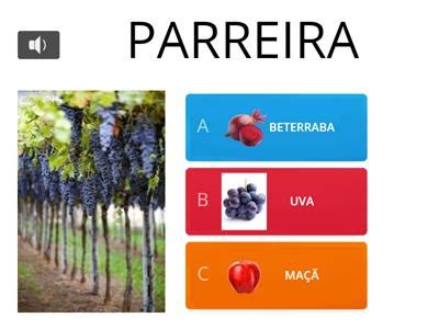 Qual A Fruta Recursos De Ensino