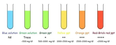 Benedicts Test Principle Reagent Preparation Procedure And