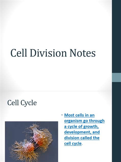 Cell Division Notes Pdf Mitosis Genetics