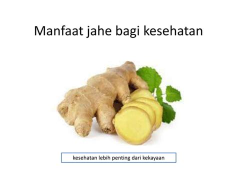 Manfaat Jahe Bagi Kesehatan Teh Jahe Bagi Kesehatan Tubuh Yang Alamai