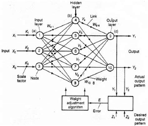 Structure Of Feed Forward Neural Network Download Scientific Diagram