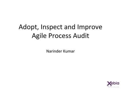 Agile Process Audit Pdf