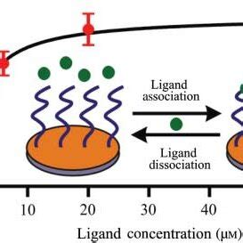 Determination Of Dissociation Constant Kd Fraction Of Ligand Bound Download Scientific