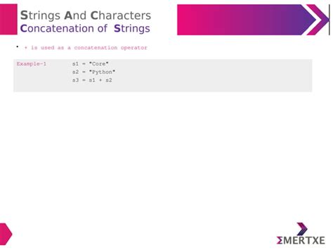 Python Programming Strings PDF