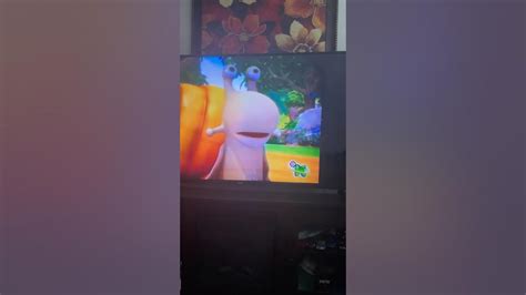 Snail Youtube