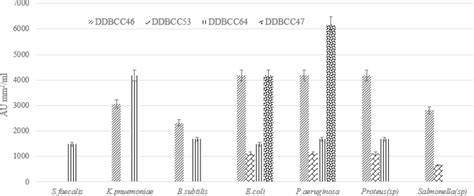 Bacillus Phage Endolysin Lys46 Bactericidal Properties Against Gram