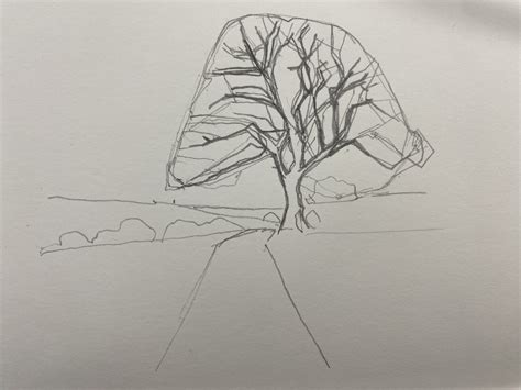 How To Draw Trees