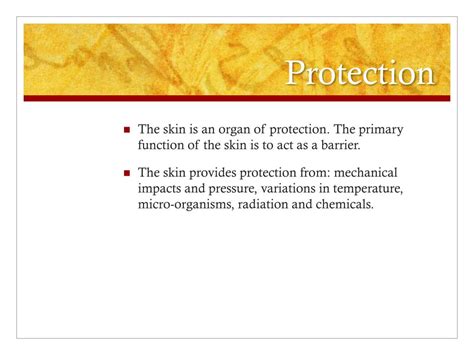 Ppt Structure And Function Of Skin Powerpoint Presentation Free