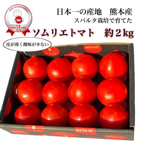 【予約】 とまと 受賞歴3回！ソムリエ トマト 約2kg（8玉〜16玉 株式会社レッドアップ 通販 Yahooショッピング