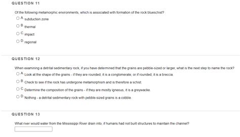 Solved QUESTION 11 Of The Following Metamorphic Chegg Com