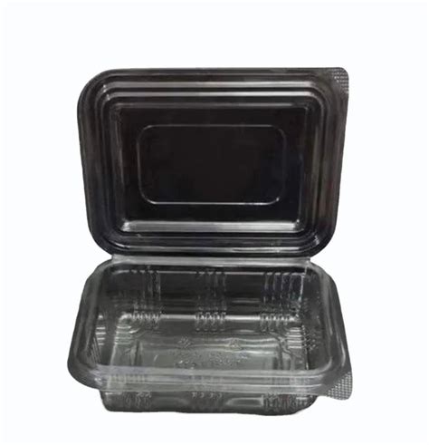 Hinged Container 150 Ml At Rs 2 2 Piece Noi Noida Id 2853312677362