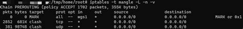 Feature 增加在 Tproxy 模式下自定义 Mark 号的选项 · Issue 377 · Juewuyshellcrash
