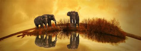 what postgresql has over other open source sql databases part ii r