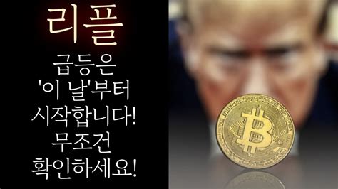 📕 리플 긴급 급등 이 날부터 시작합니다 무조건 확인하세요 리플 리플대응전략 Youtube