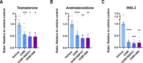 Inhibition Of Wntβ Catenin Signalling During Sex Specific Gonadal