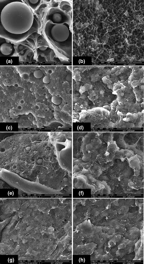 Morphological Characterization Of The Fracture Surface A B B Cb C