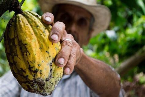 Chilate Cacao Bebida México