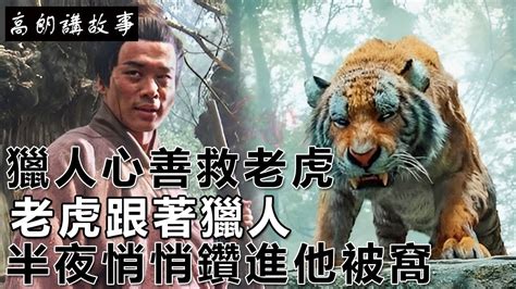 民間故事：獵人心善救老虎，老虎跟著獵人，半夜悄悄鑽進他被窩｜高朗講故事 Youtube