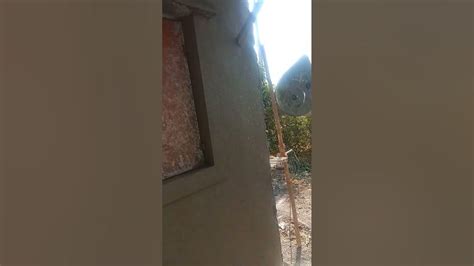 बांधकाम भिंत प्लास्टर केल्यानंतर डब्बा फिरून डिझाईन कशी काढली जाते