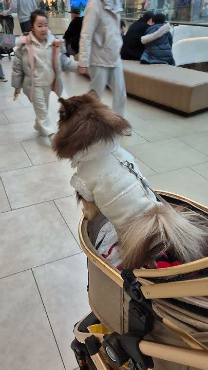 엄마 우리 어디가는거야 Youtube