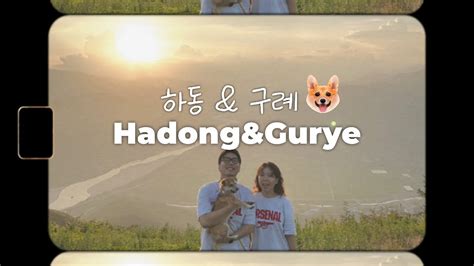 반려견 동반 국내 여행 영상 하동and구례 스마트폰 여행 영상호두가족 여행영상 촌캉스 여름휴가 Youtube