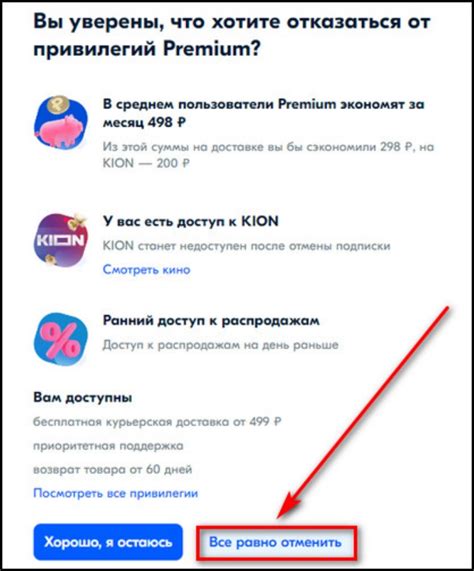 Подписка Озон Премиум: что такое, как получить, инструкция по настройке