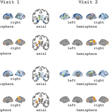 Subcortical And Cortical Patterns Of The Contributions Of The First