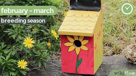 How To Make A Bird Box Steps With Pictures WikiHow