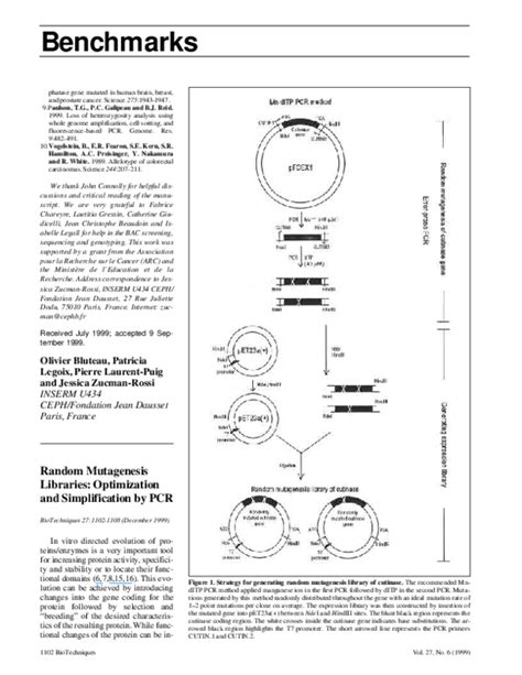 Pdf Random Mutagenesis Libraries Optimization And Simplification By Pcr