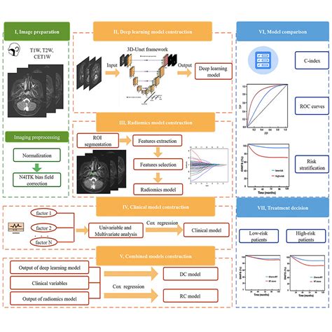 Mri Based Deep Learning Model Predicts Distant Metastasis And Chemotherapy Benefit In Stage Ii