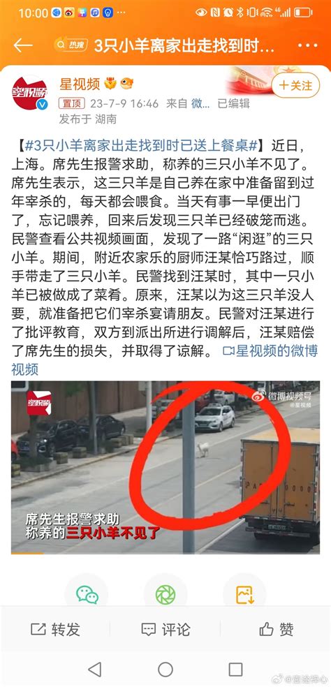 3只小羊离家出走找到时已送上餐桌