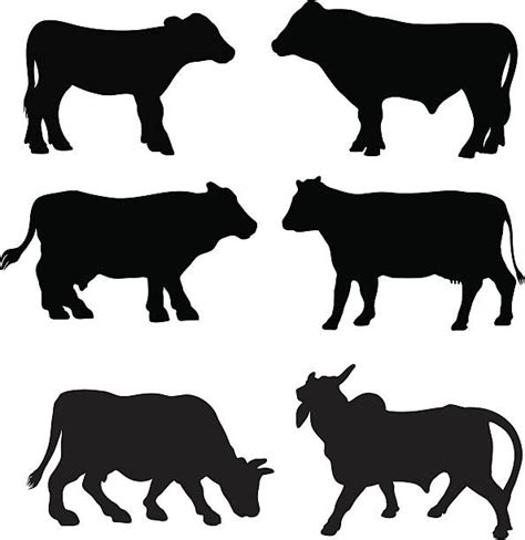 1300 Holstein Cow Stock Illustrations Royalty Free Vector Graphics