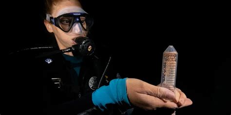 Coral Spawning Coral Restoration Foundation