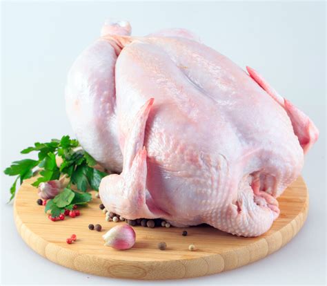 Robust Broilers With Superior Supplementation Zinpro®